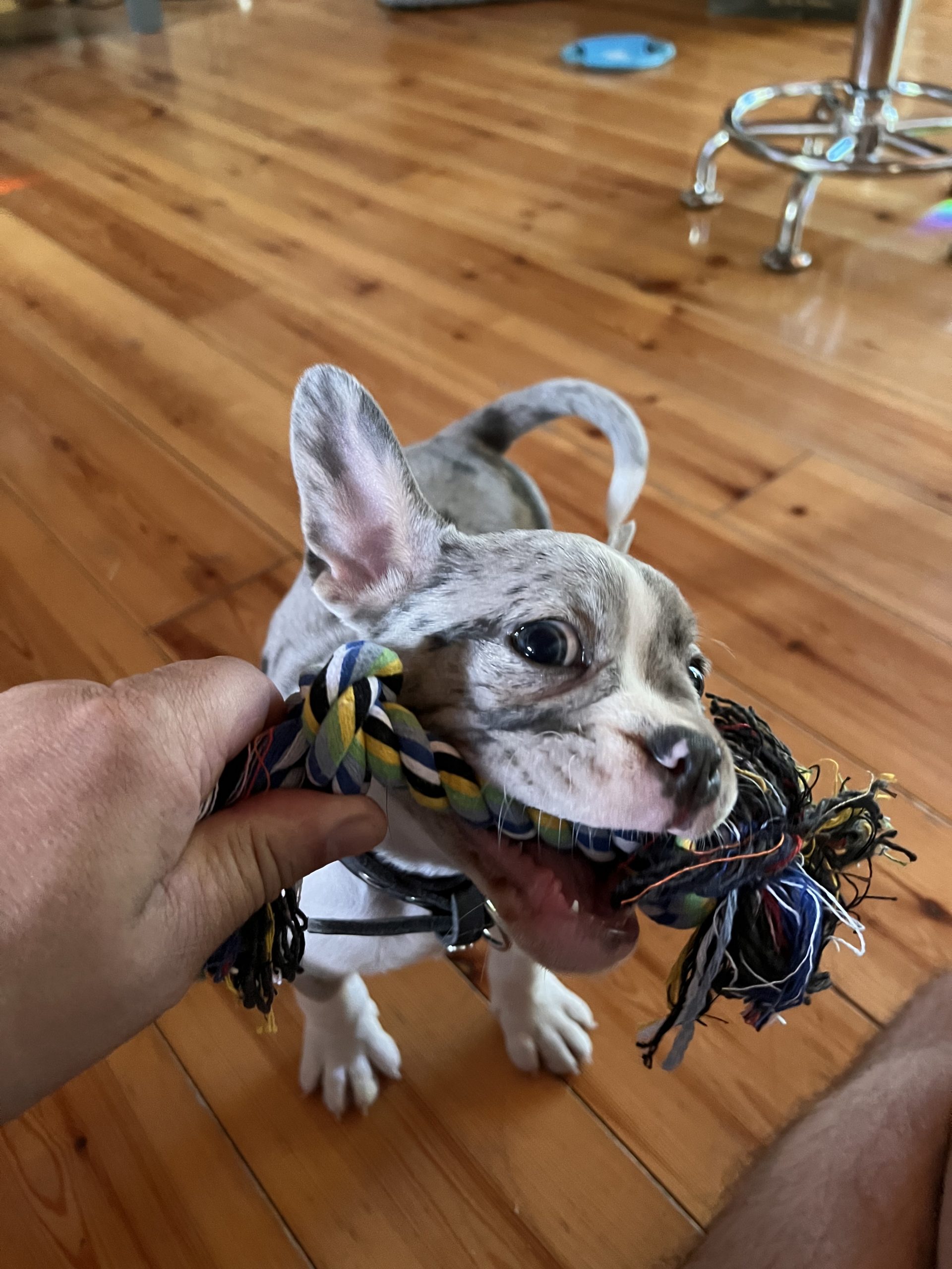 Über uns - MaBo Binnenschifffahrt